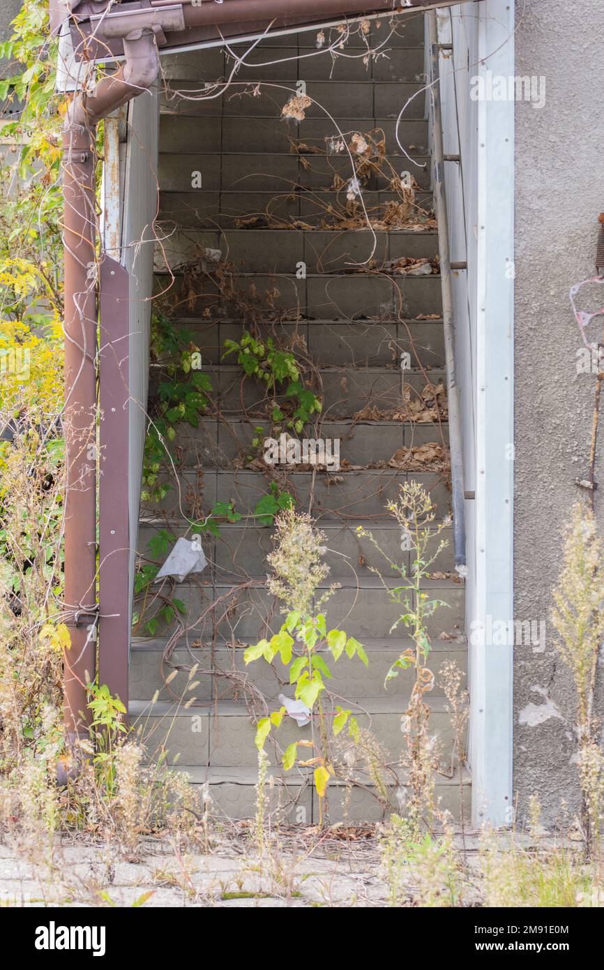 Old, dilapidated and neglected stairs in an abandoned building Stock ...
