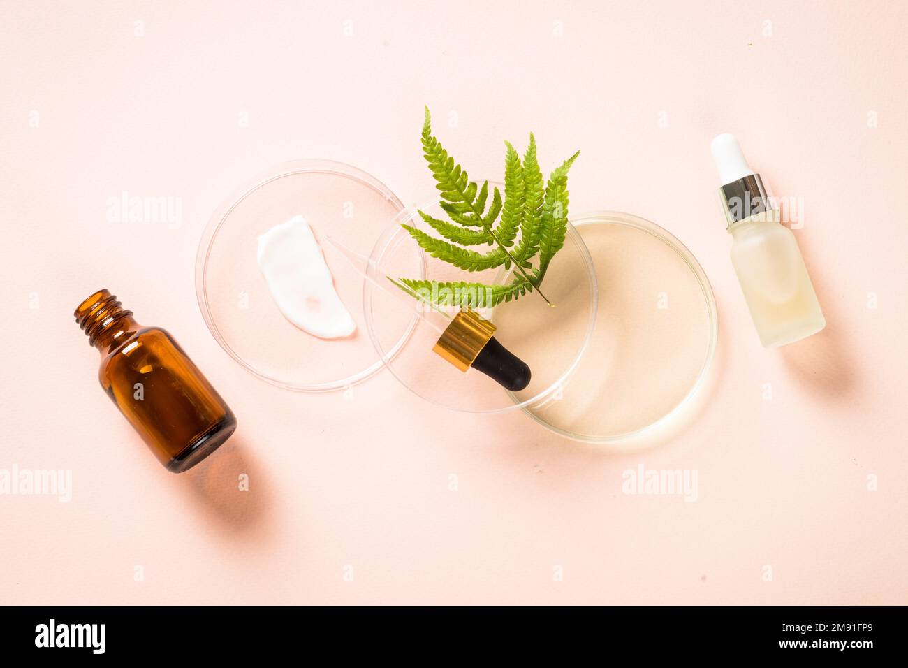 Cosmetic laboratory concept. Glass petri dish with different cosmetic ...