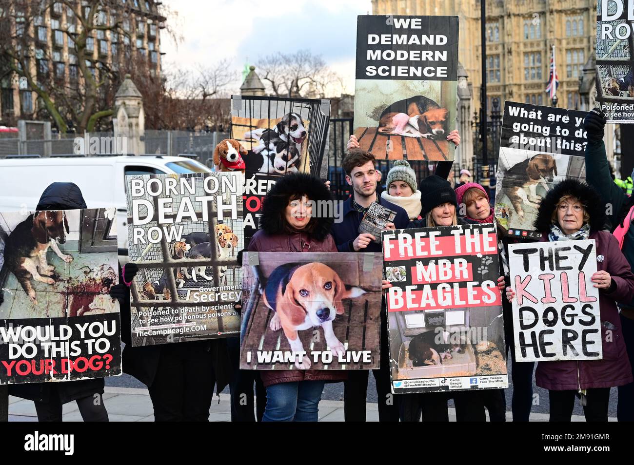 Nodogmeat hi-res stock photography and images - Alamy