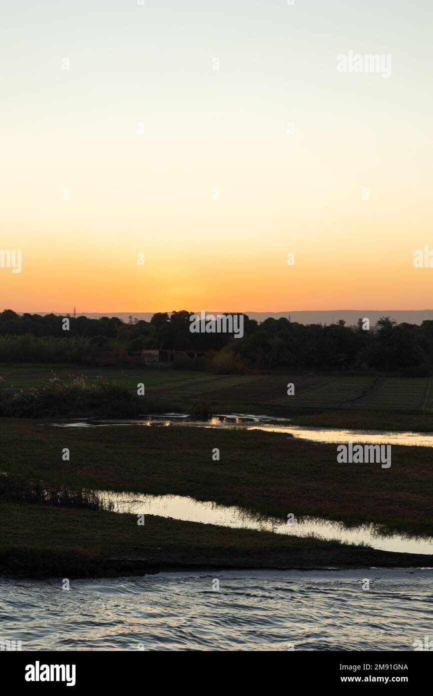 Vertical view landscape of river bank in nature with green vegetation ...