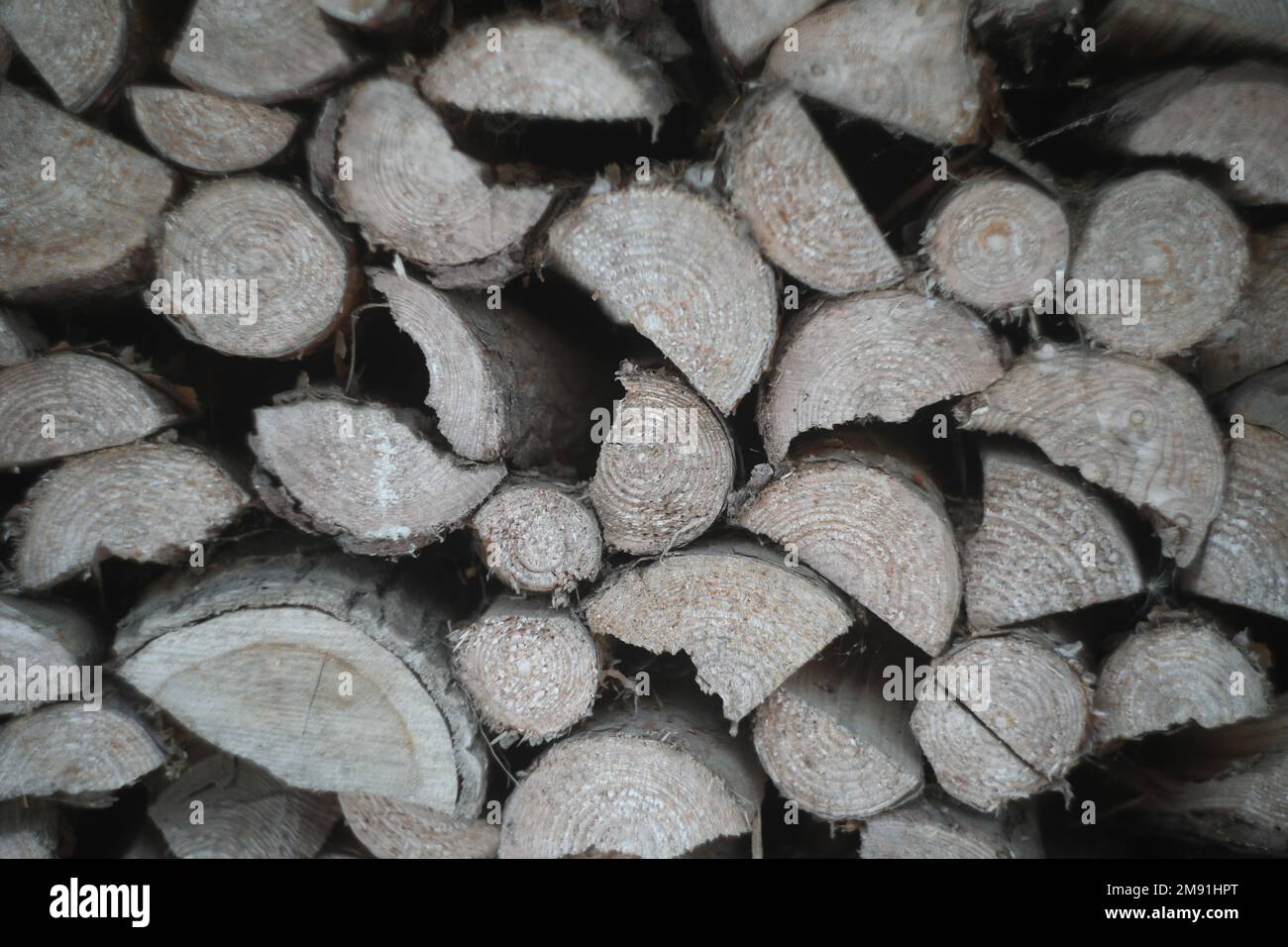 Natural wooden background. Firewood stacked and prepared for winter ...