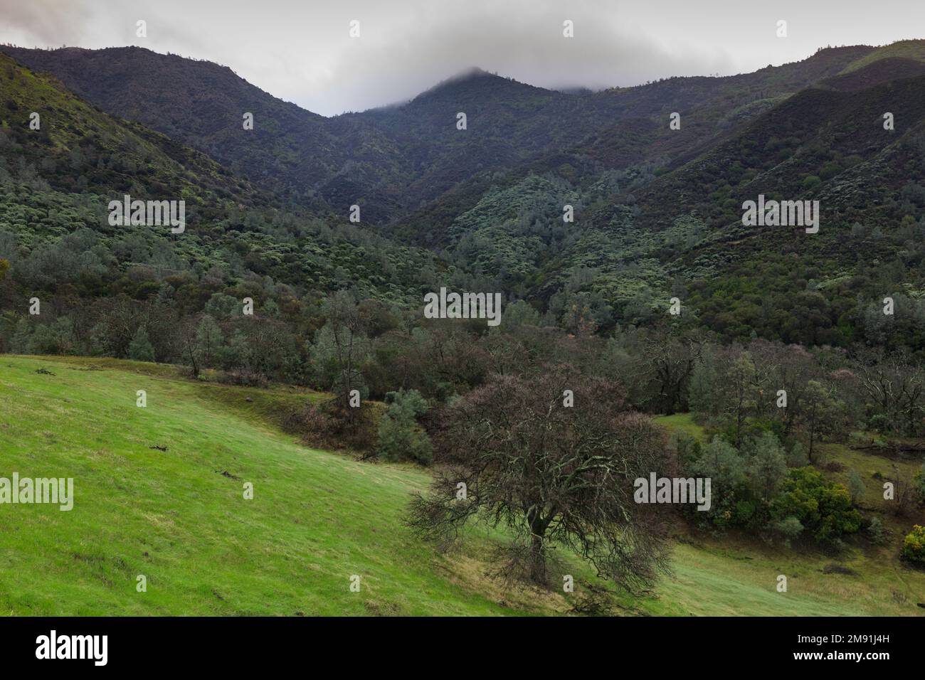Winter Views of Donner Canyon and Mount Olympia at Mt Diablo State Park ...