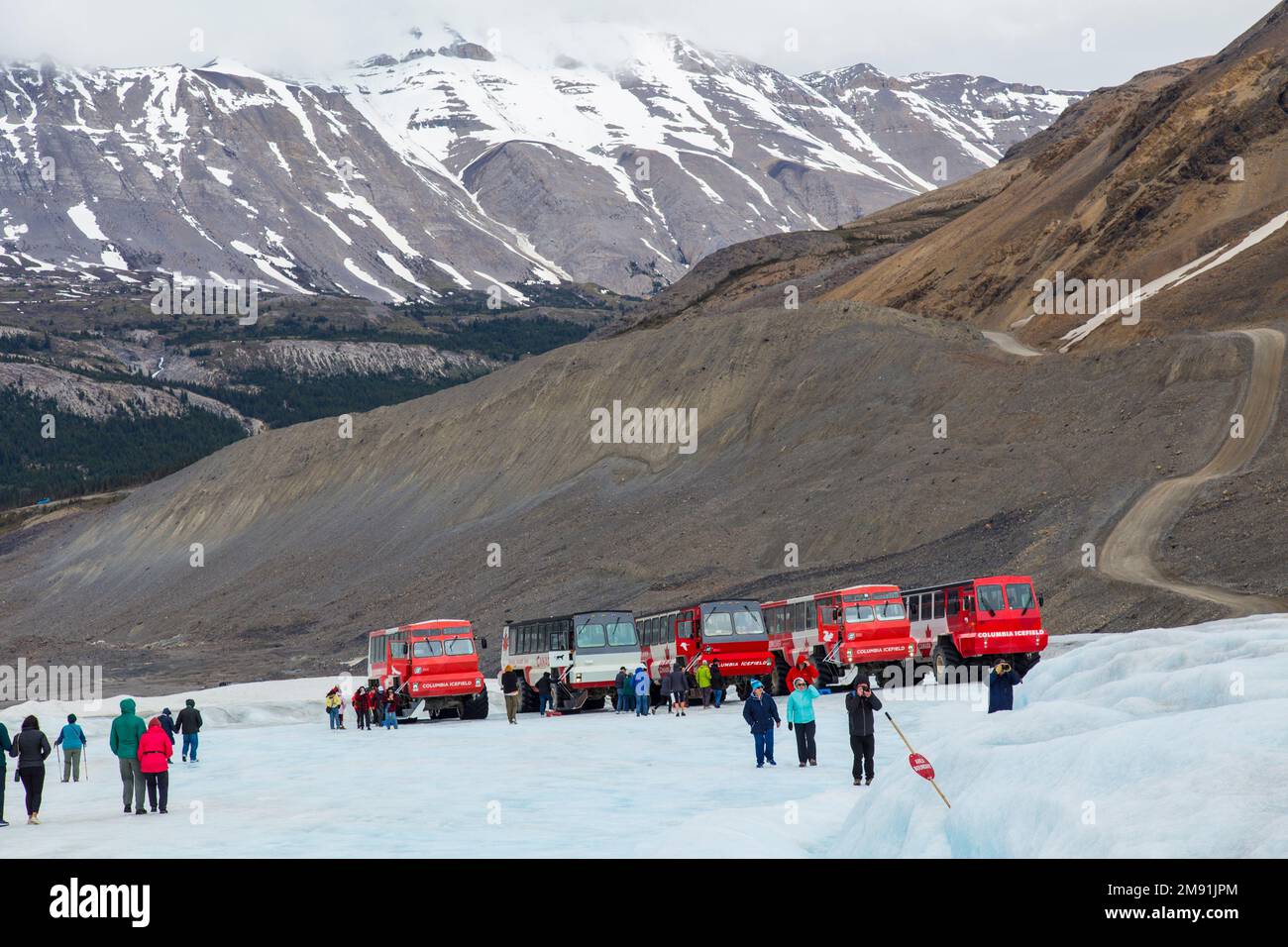 Columbia Ice field, Columbia, Canada Stock Photo - Alamy
