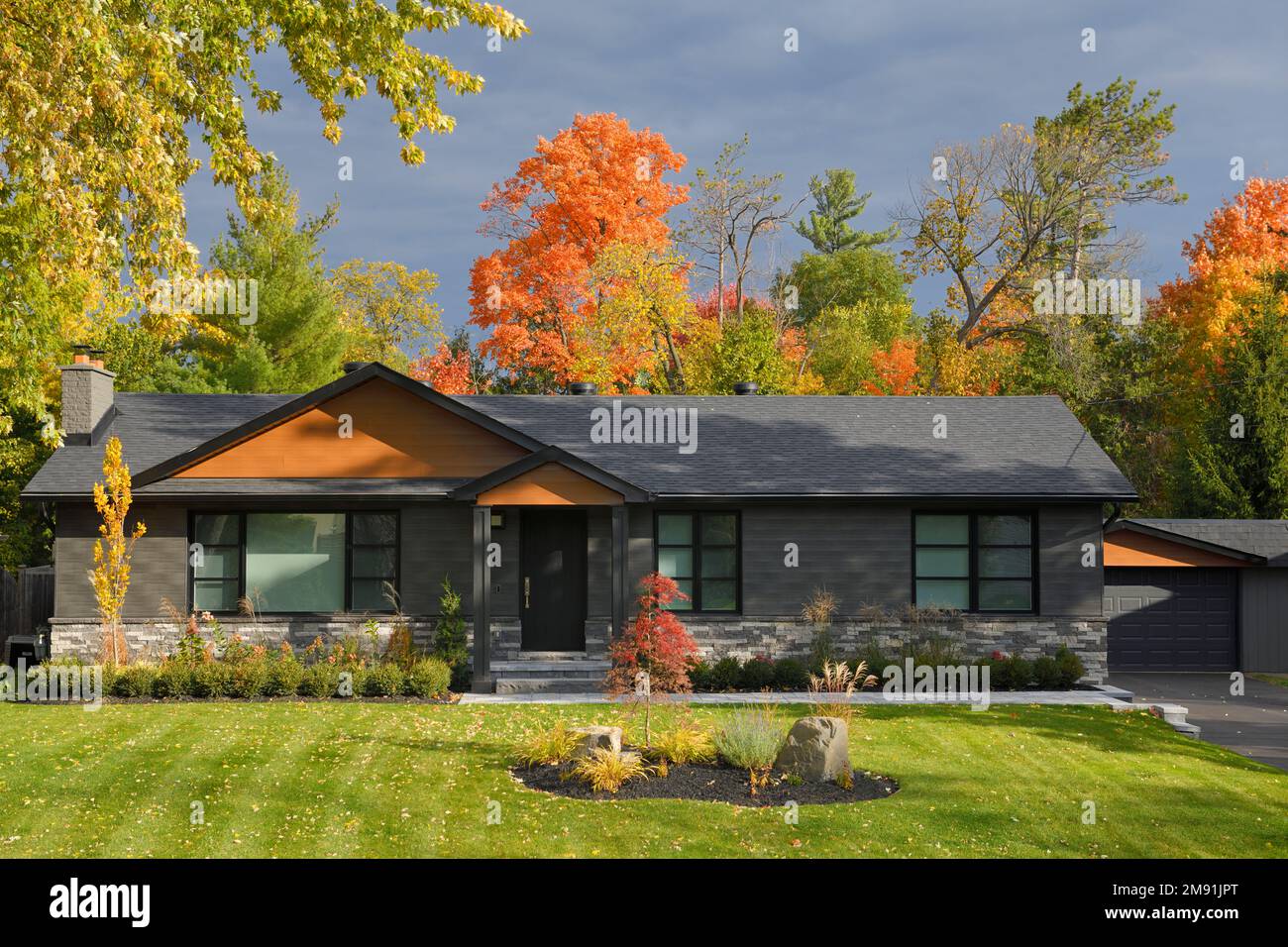 Newly renovated house with new landscaping in Autumn with red Maple ...