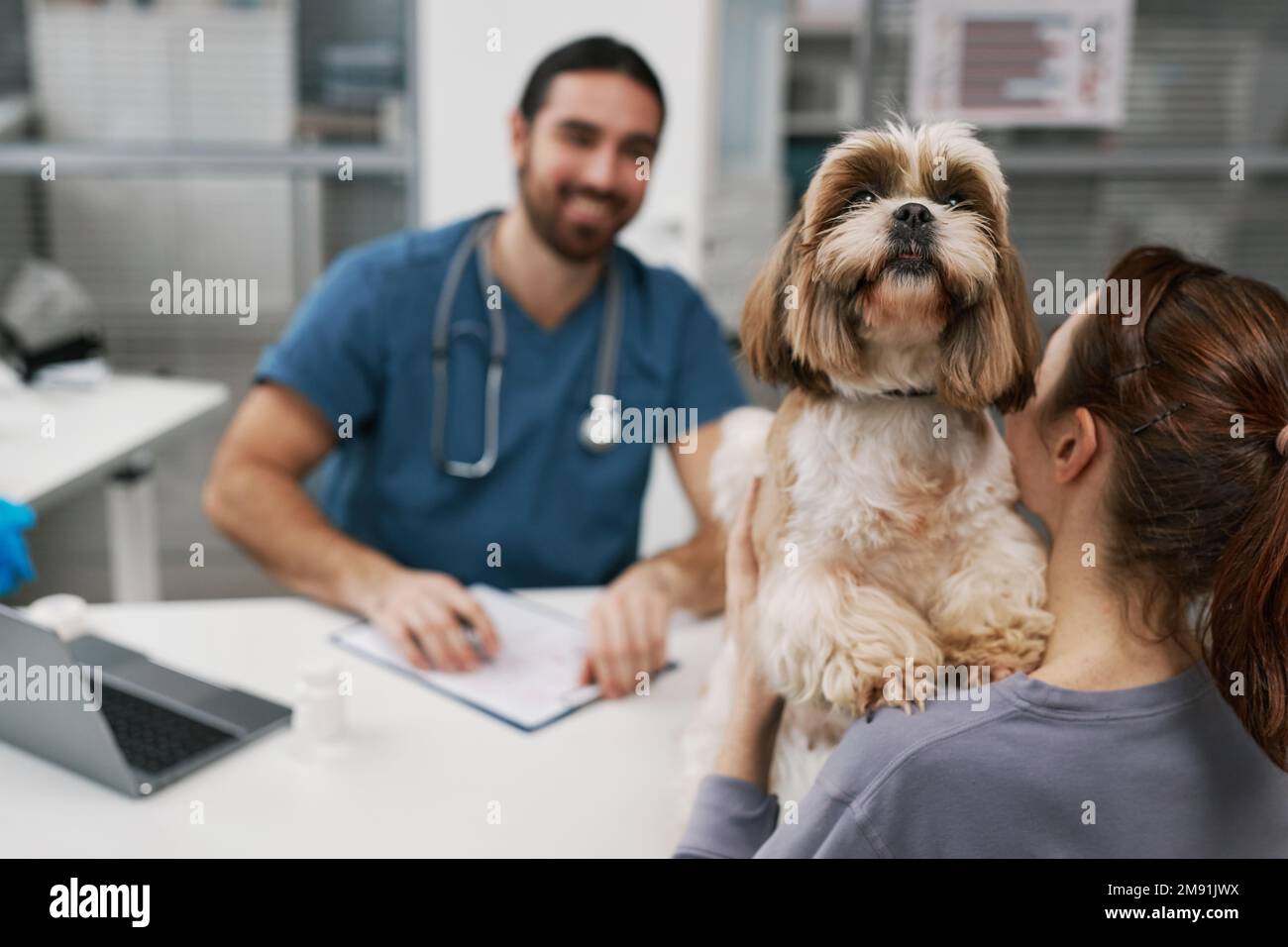 Vet doctor hi-res stock photography and images - Alamy
