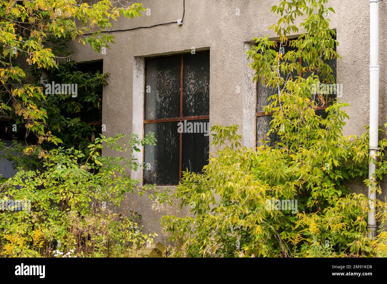 Abandoned and neglected building under a blue sky on a sunny day Stock ...