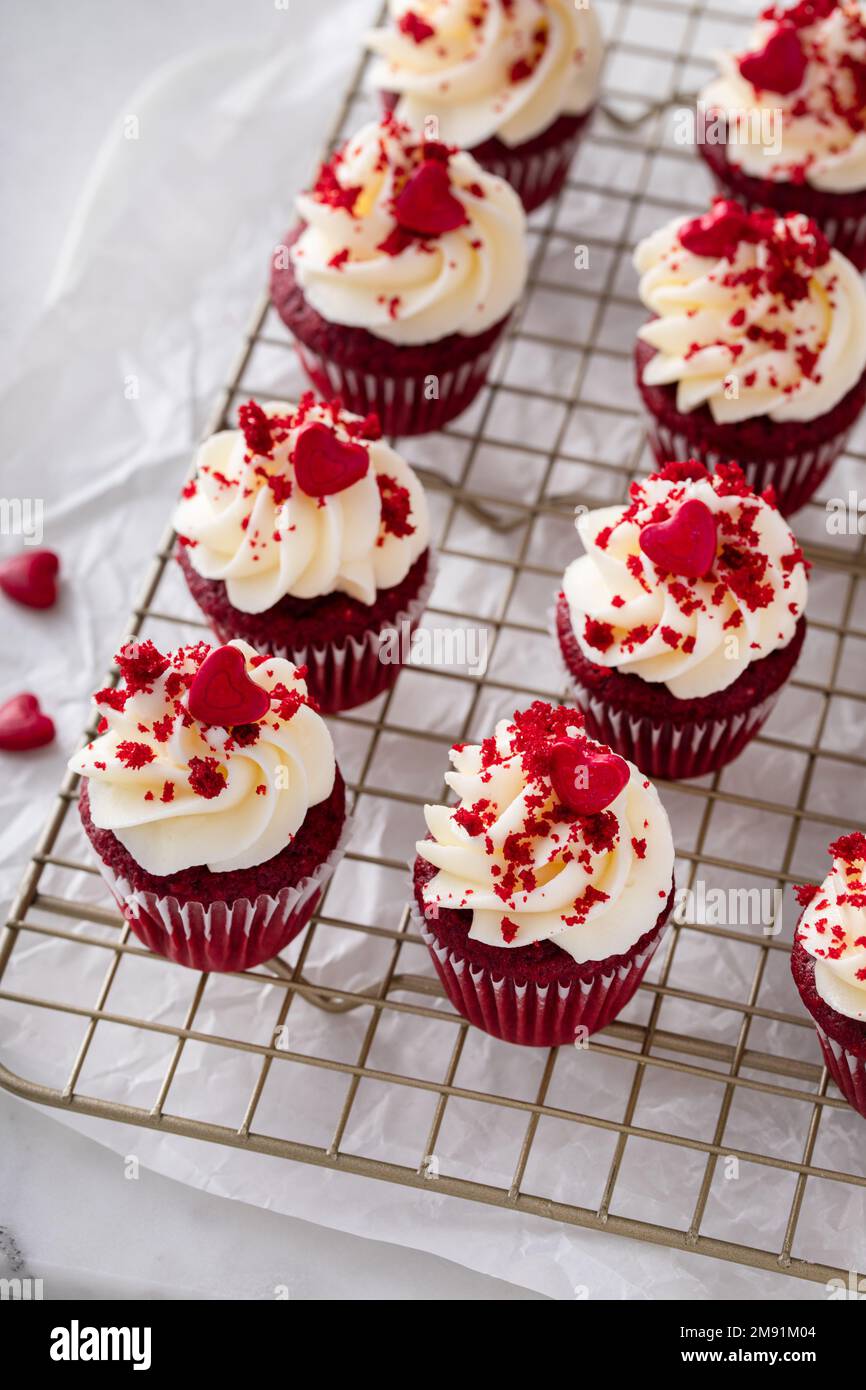 Cream cupcakes on cooling rack hi-res stock photography and images - Alamy