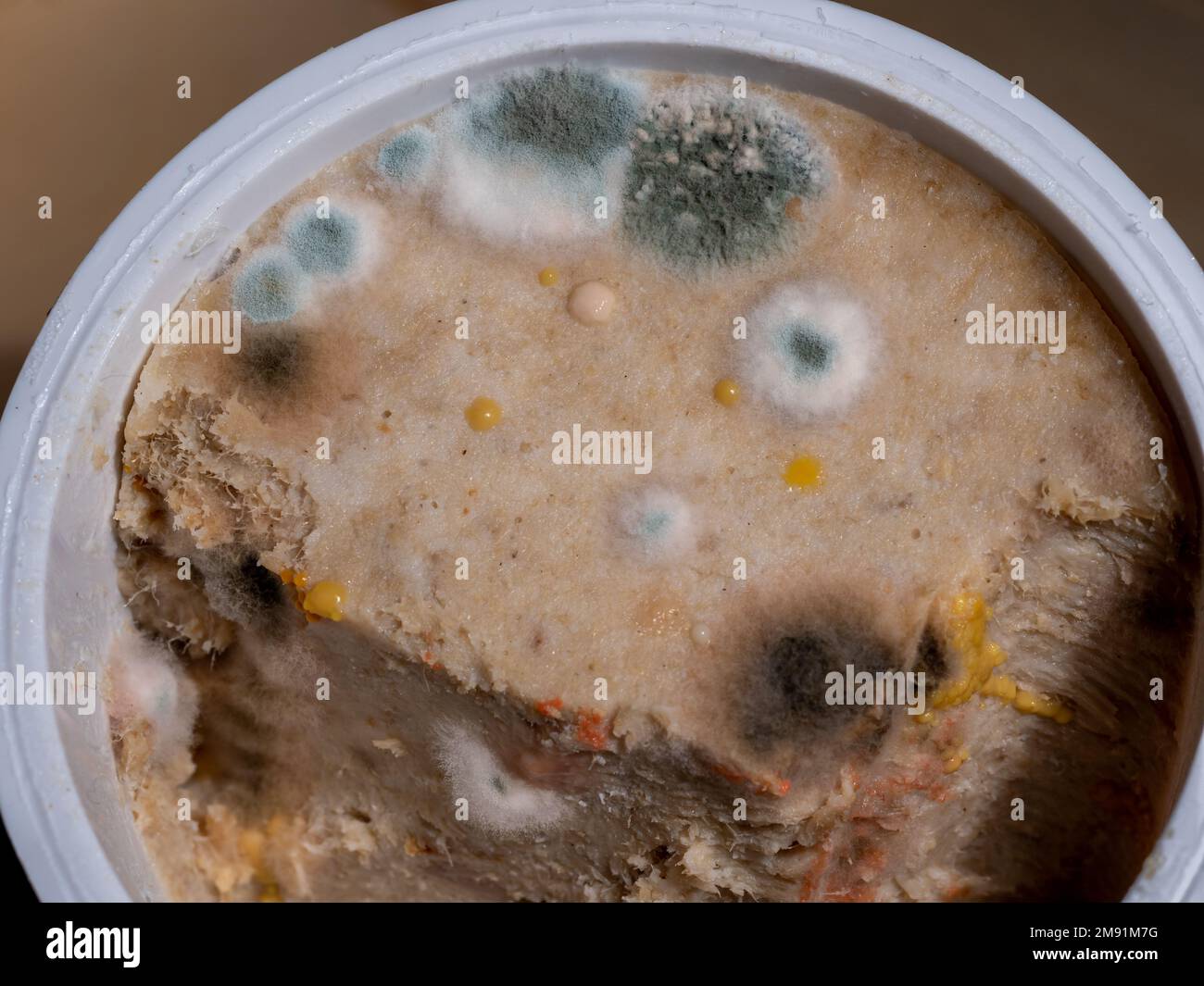 white mold on food, pate spoiled food, macro photo Stock Photo - Alamy