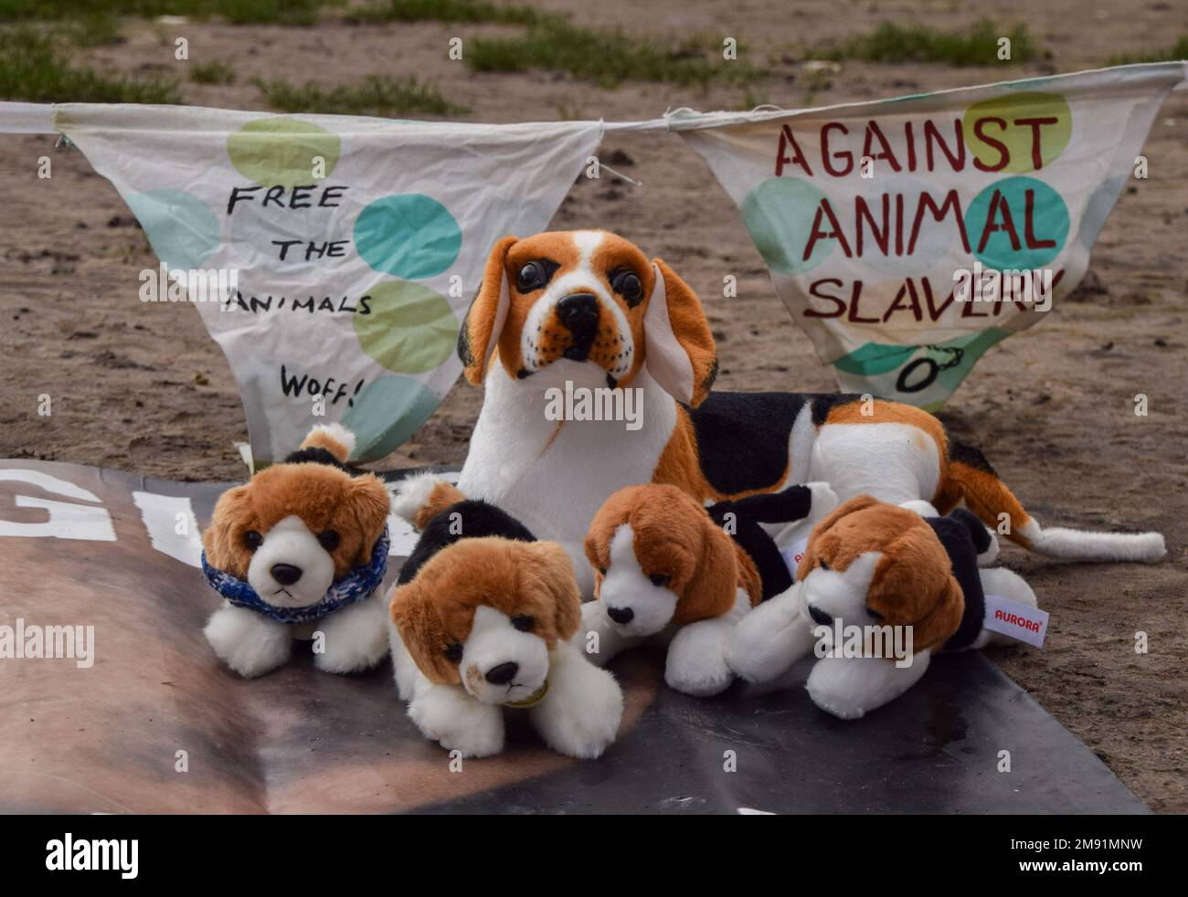 London, England, UK. 16th Jan, 2023. Plush toy beagle mother and ...