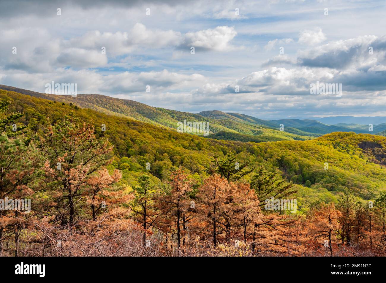 Hiking in the Appalachians on a Spring Afternoon, Virginia USA ...
