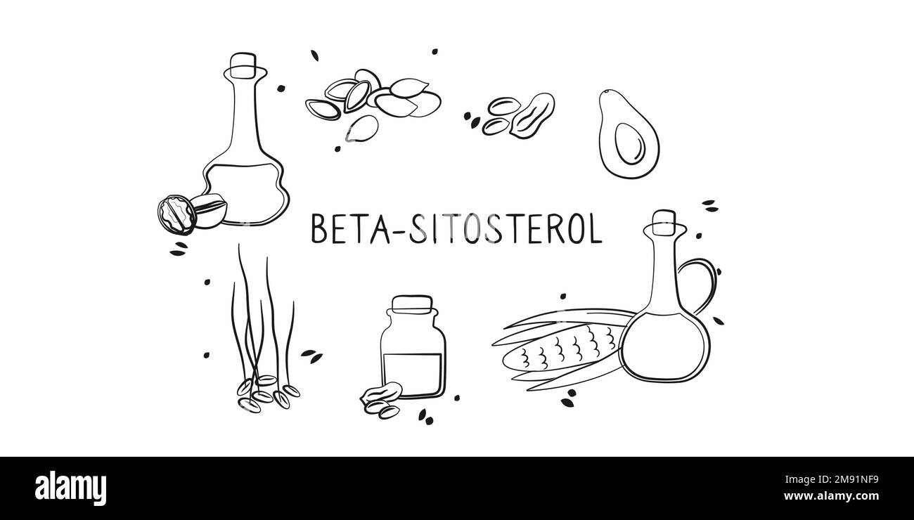Beta-sitosterol-containing food. Groups of healthy products containing ...