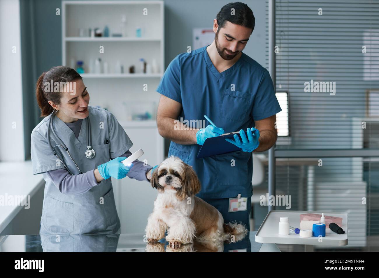 Male Veterinary Technician