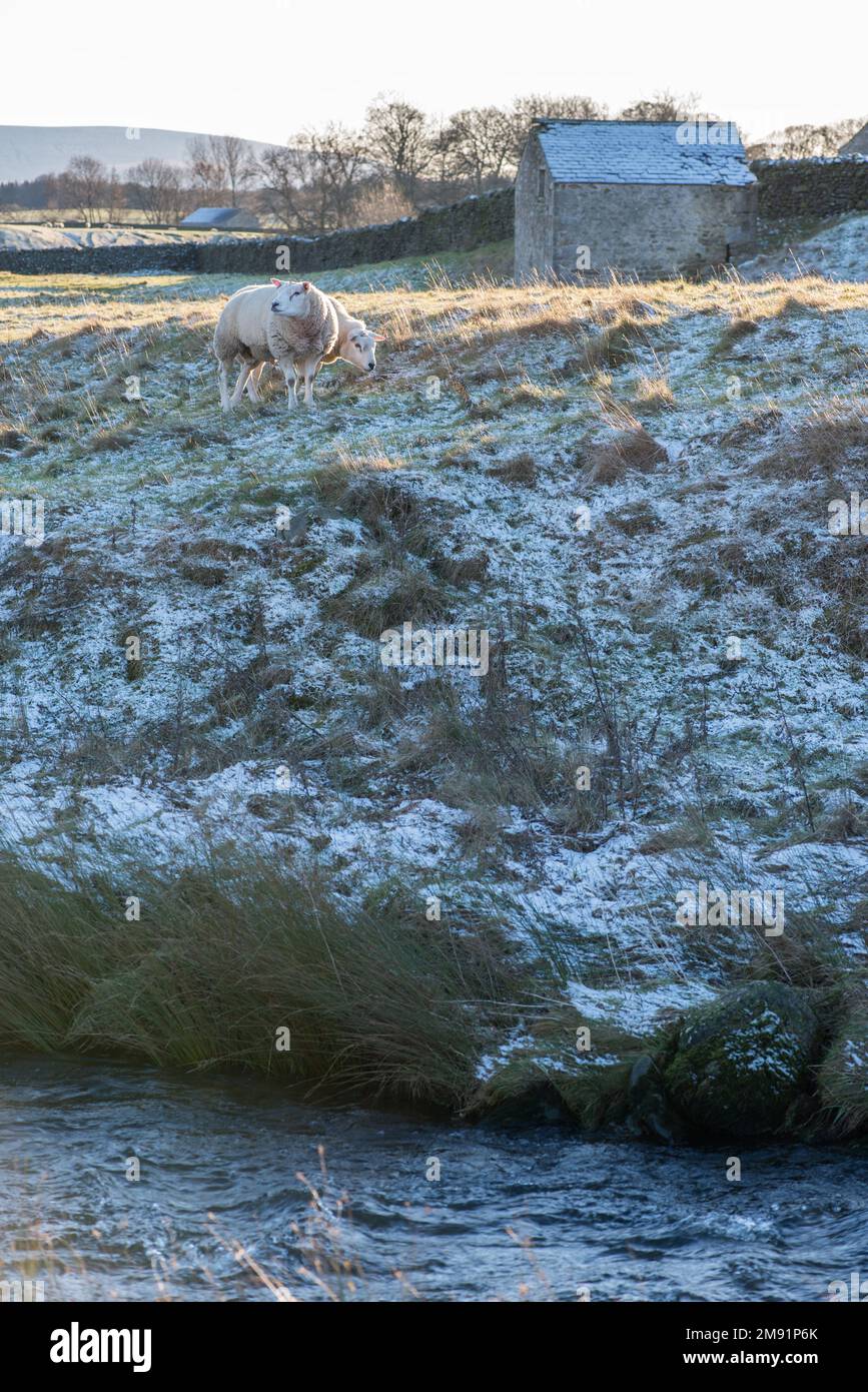 Around Long Preston beck on a wintry late afternoon Stock Photo - Alamy