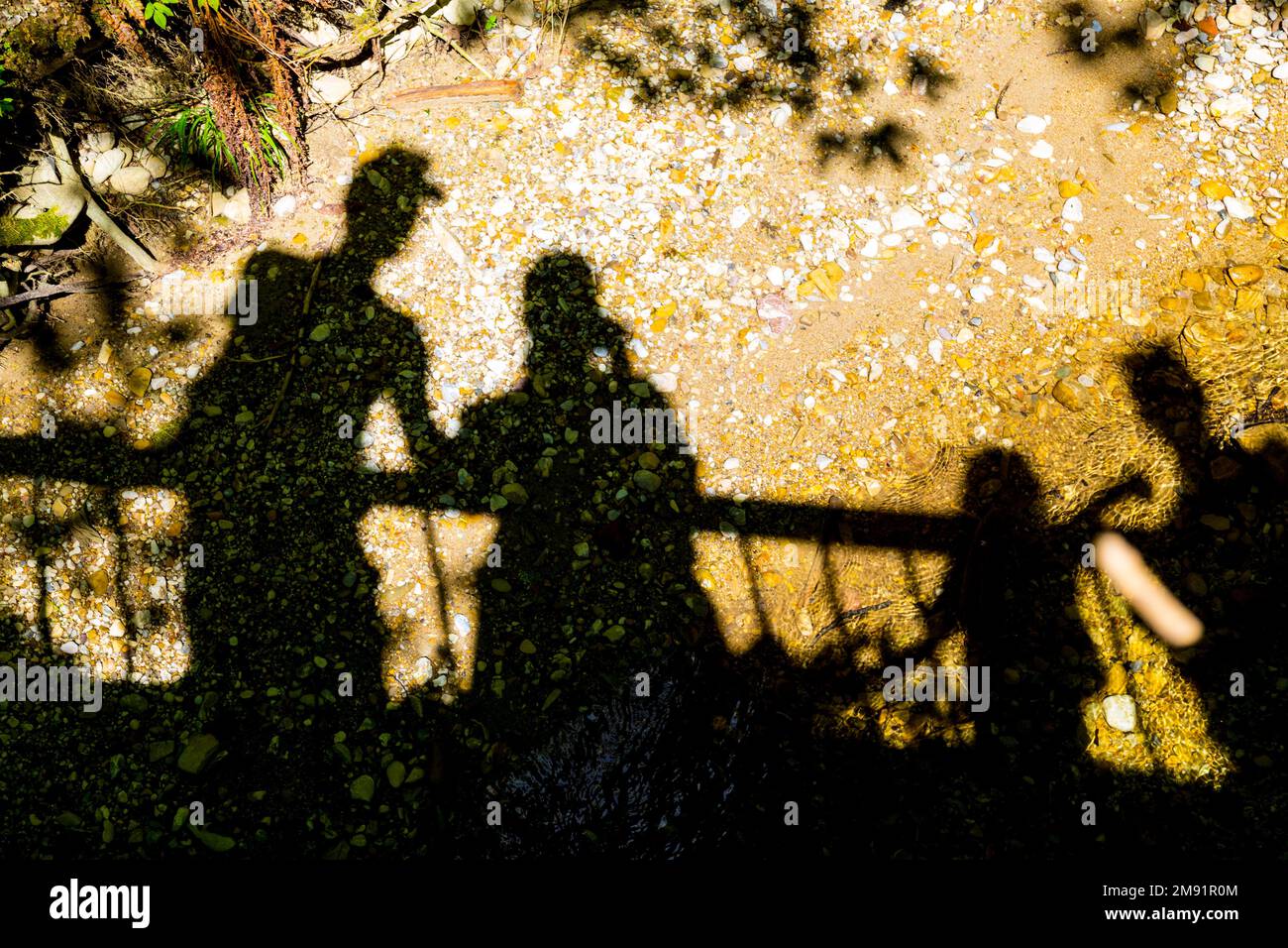 Shadows of group of people Stock Photo - Alamy