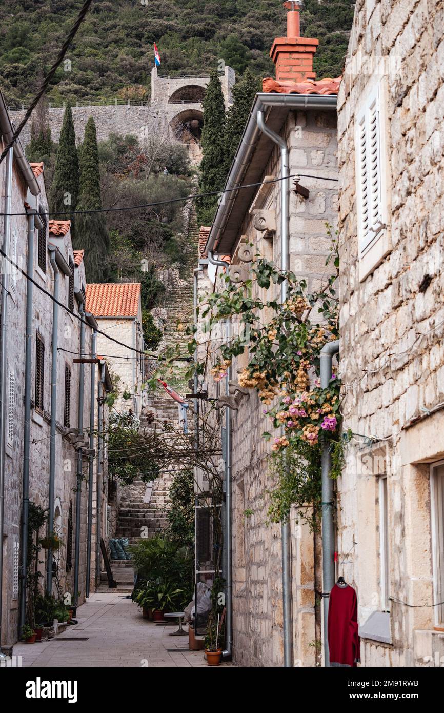 Stone alleys and beautiful, mediterranean houses in the town of Ston ...