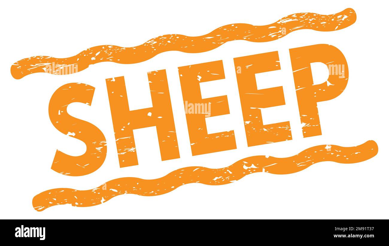 SHEEP text written on orange lines stamp sign Stock Photo - Alamy
