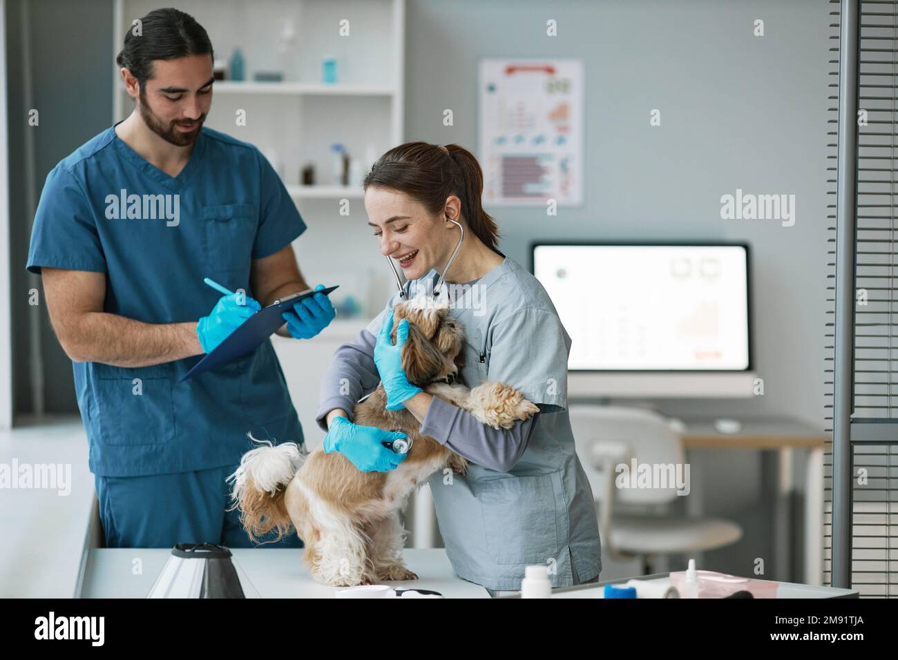 Veterinarian in work uniform making hi-res stock photography and images ...