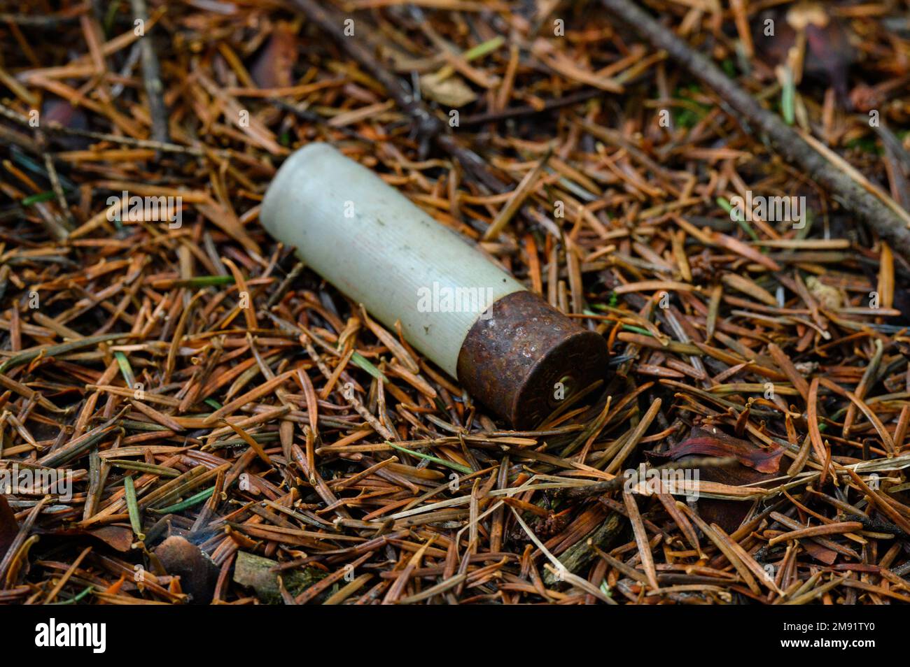Old used and rusty cartridge case in the woods, cartridge case for ...