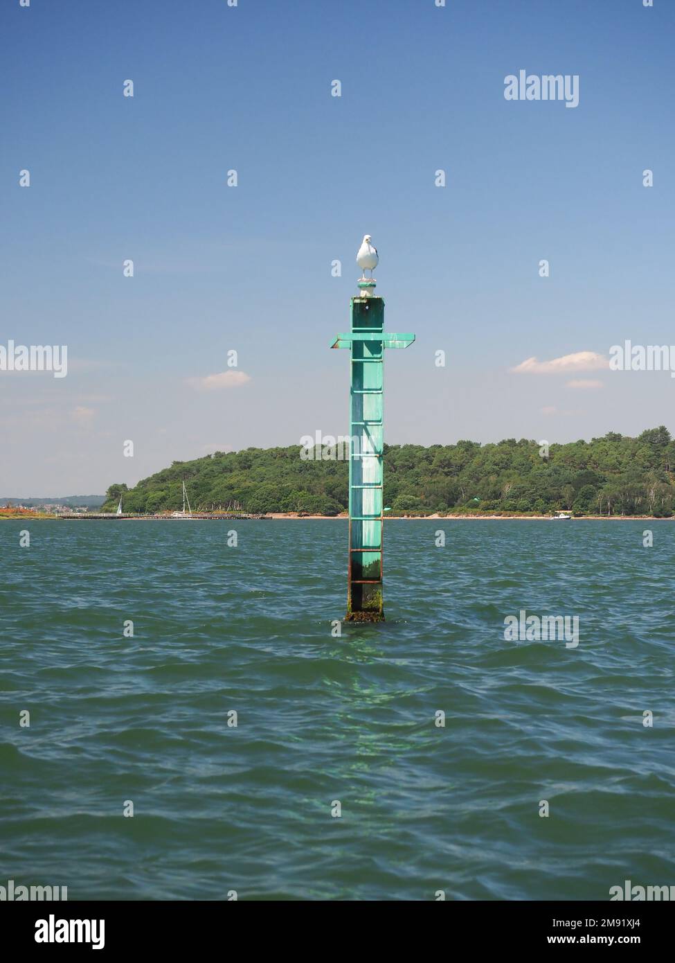 Seagull perched on harbour hi-res stock photography and images - Alamy