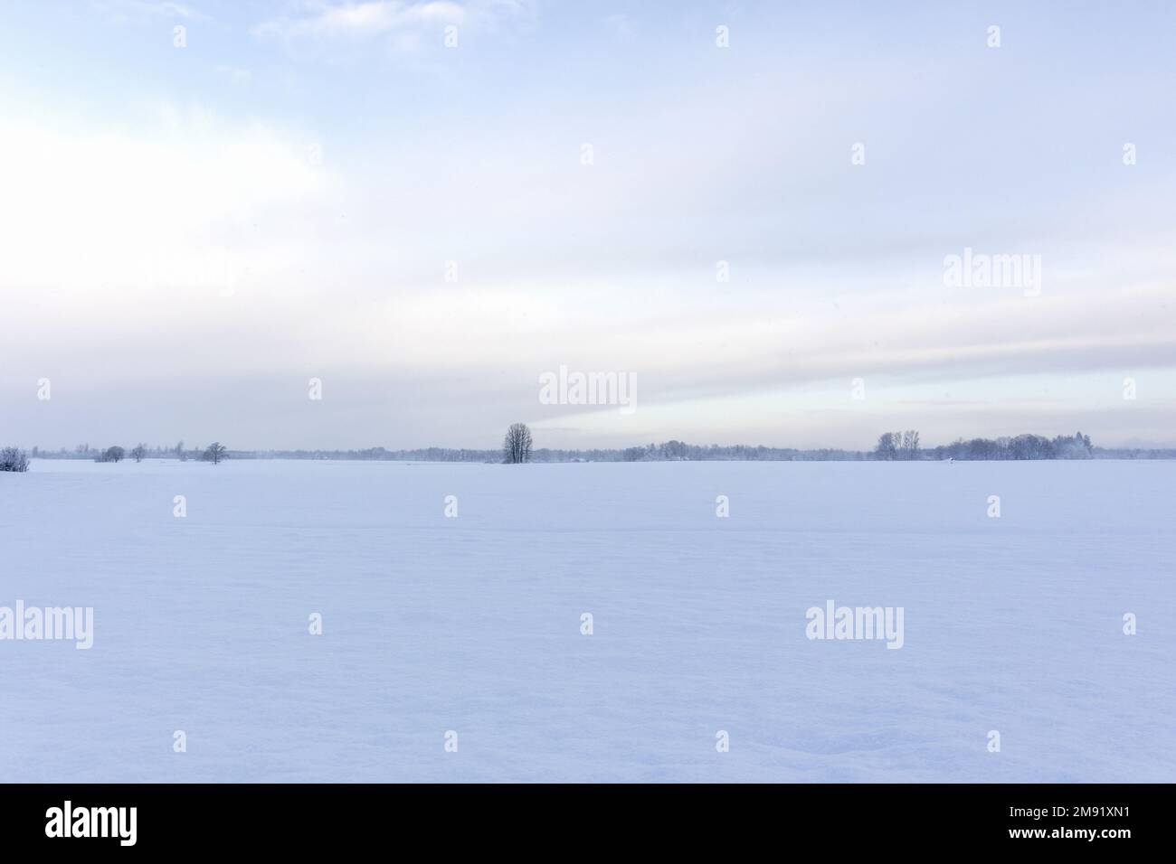 Winter nature view with almost the same colors of earth and sky where ...