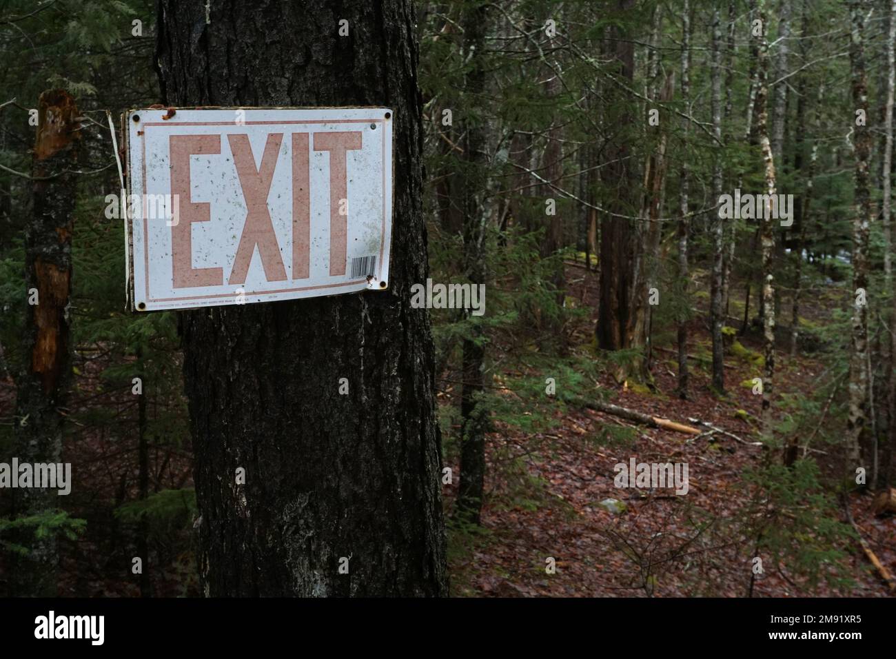 An old exit sign Stock Photo - Alamy