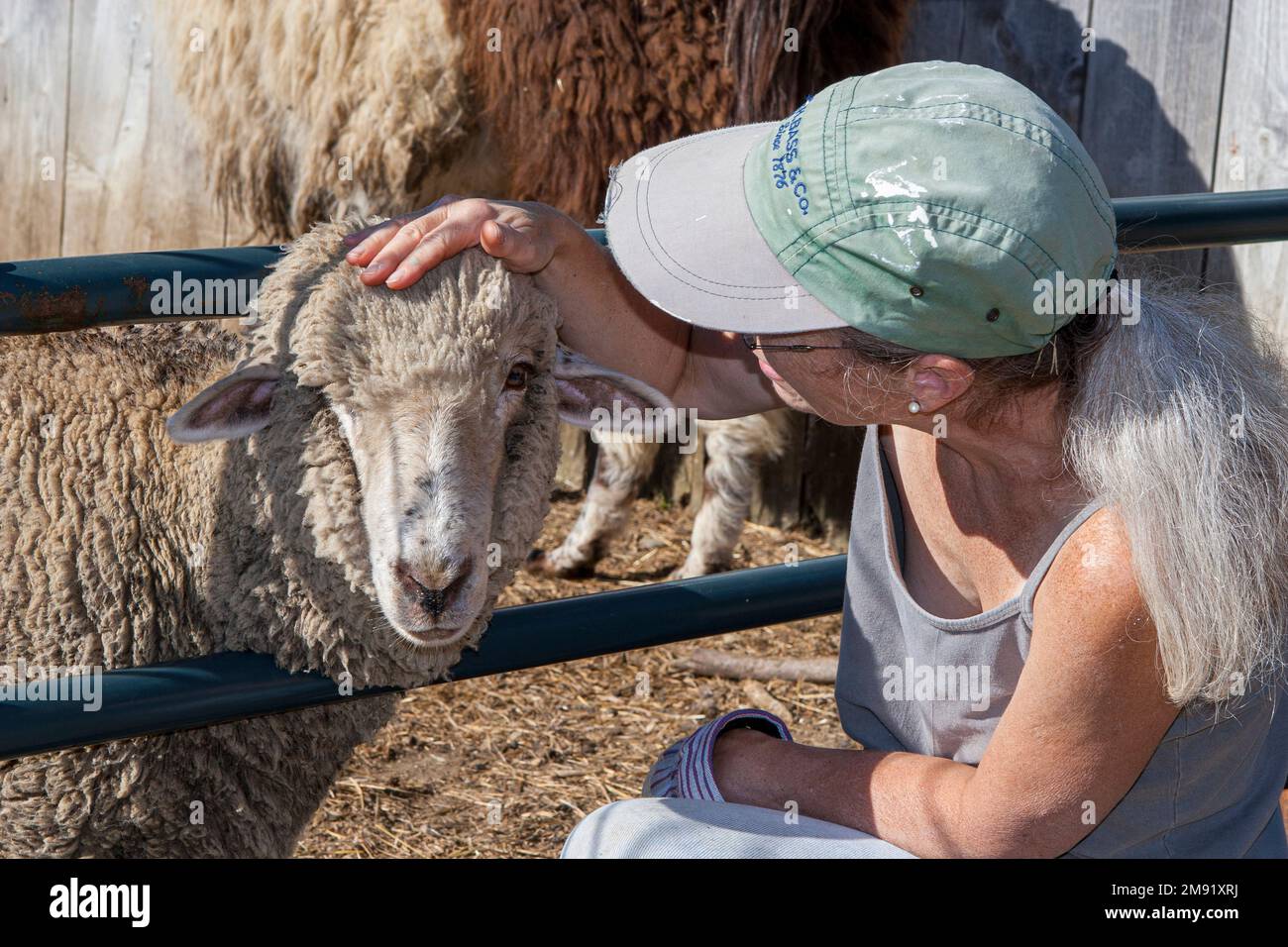Female farmer england hi-res stock photography and images - Alamy