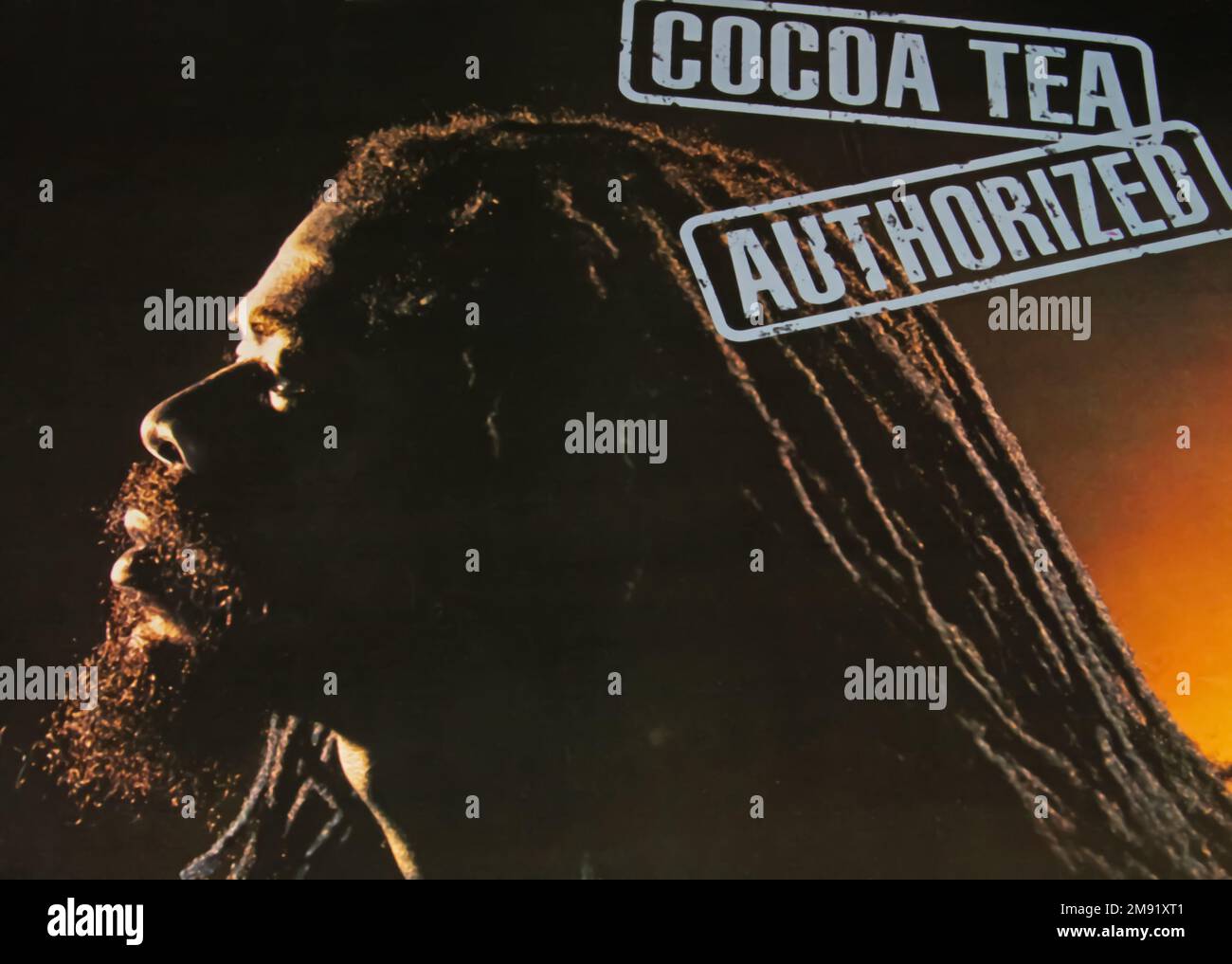 Viersen, Germany - November 9. 2022: Closeup of isolated vinyl record ...