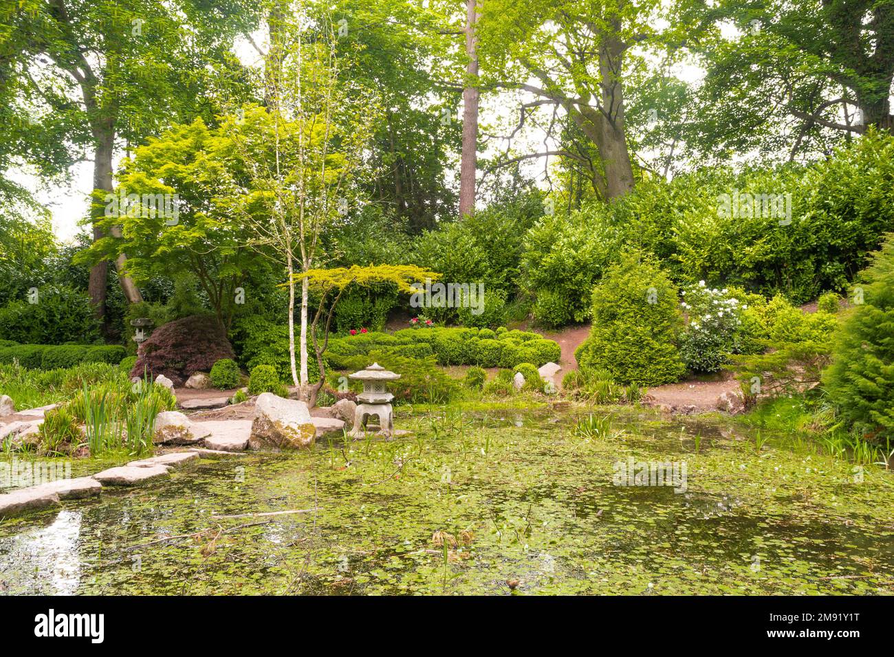 Japanese garden with an ornamental pond, in Belfast park, Northern ...