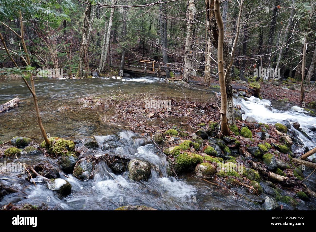 Chamcook Stream, New Brunswick, Canada Stock Photo - Alamy