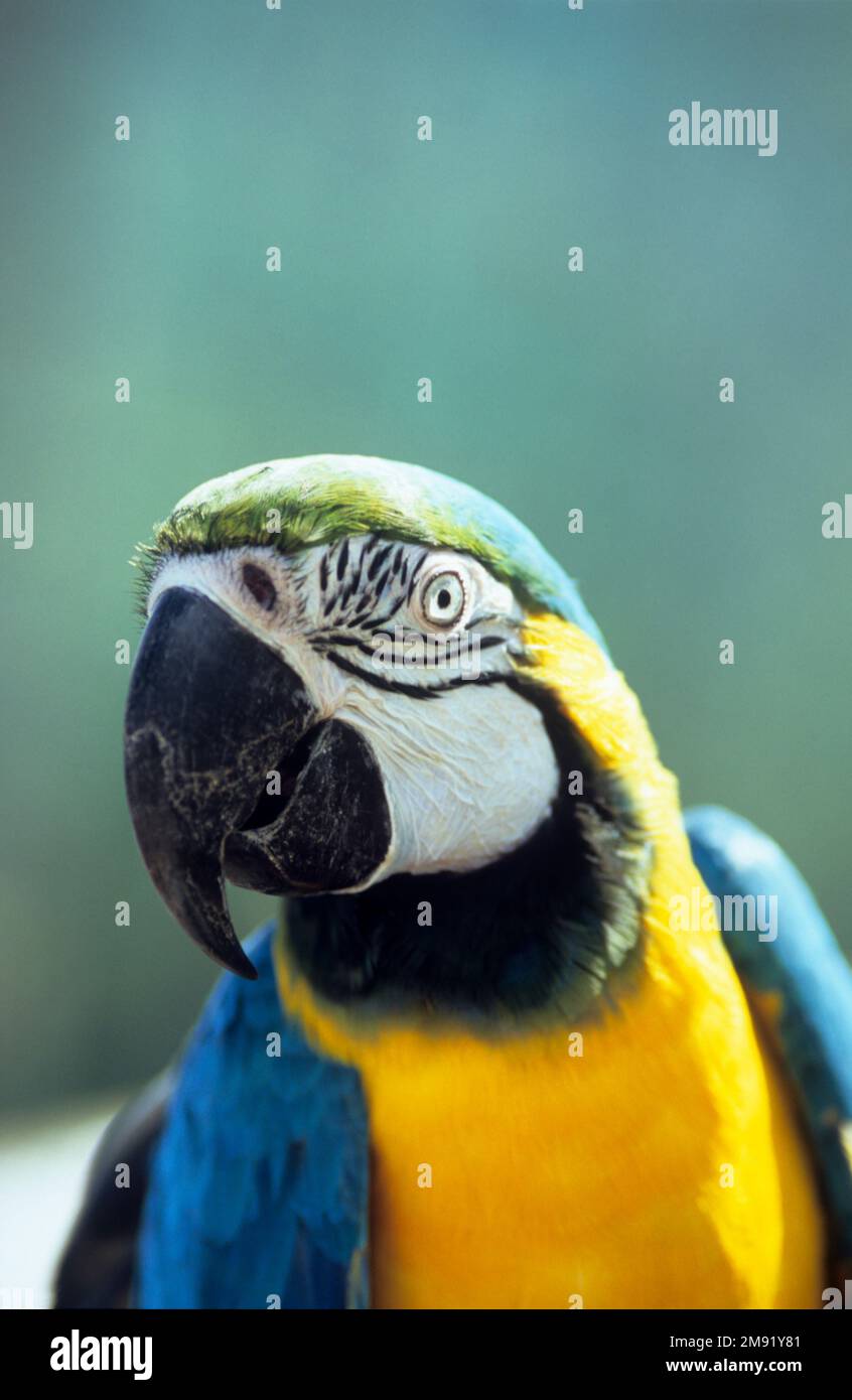 Manati park punta cana hi-res stock photography and images - Alamy