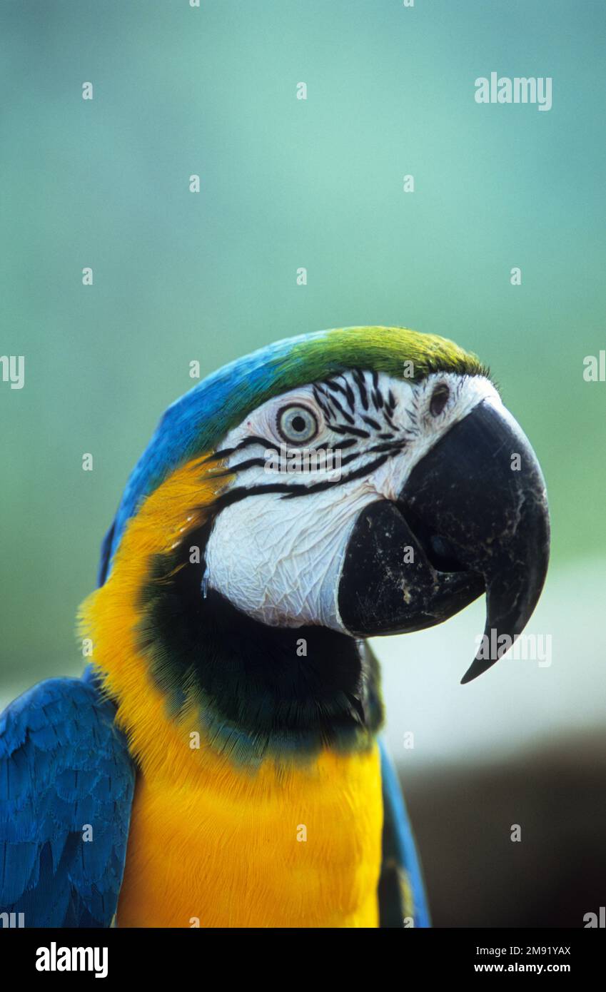 Manati park punta cana hi-res stock photography and images - Alamy