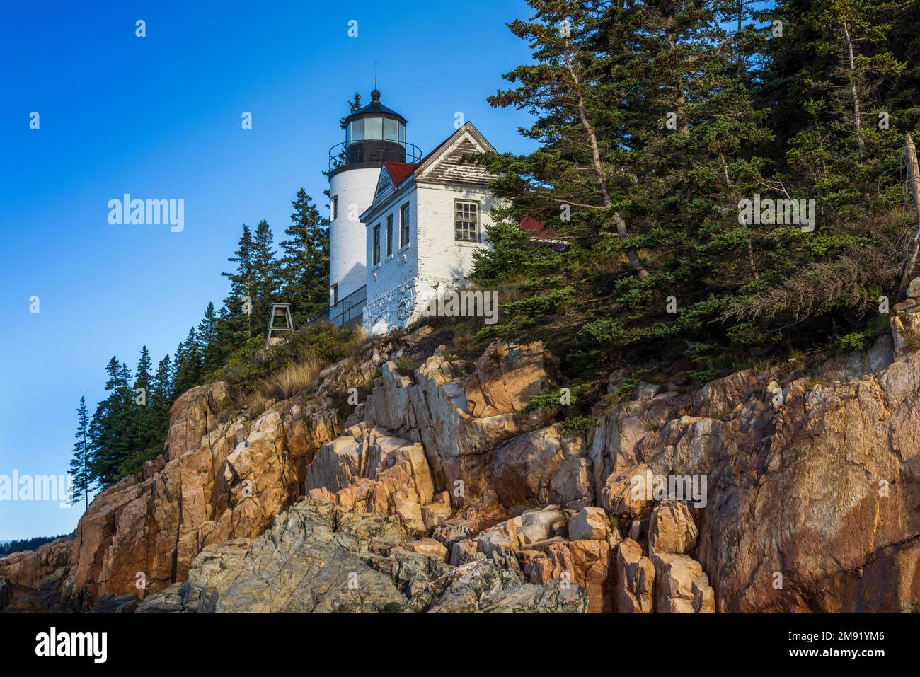 Bass Harbor Lighthouse at early morning in Acadia National Park, Maine ...