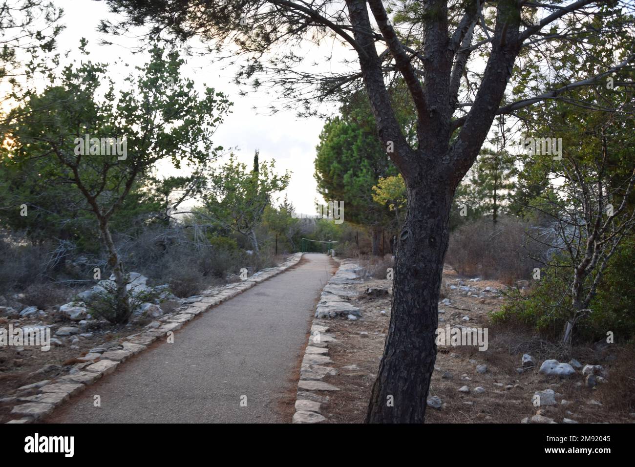 Keshet Cave - natural arch during sunset, Adamit Park, Upper Galilee ...