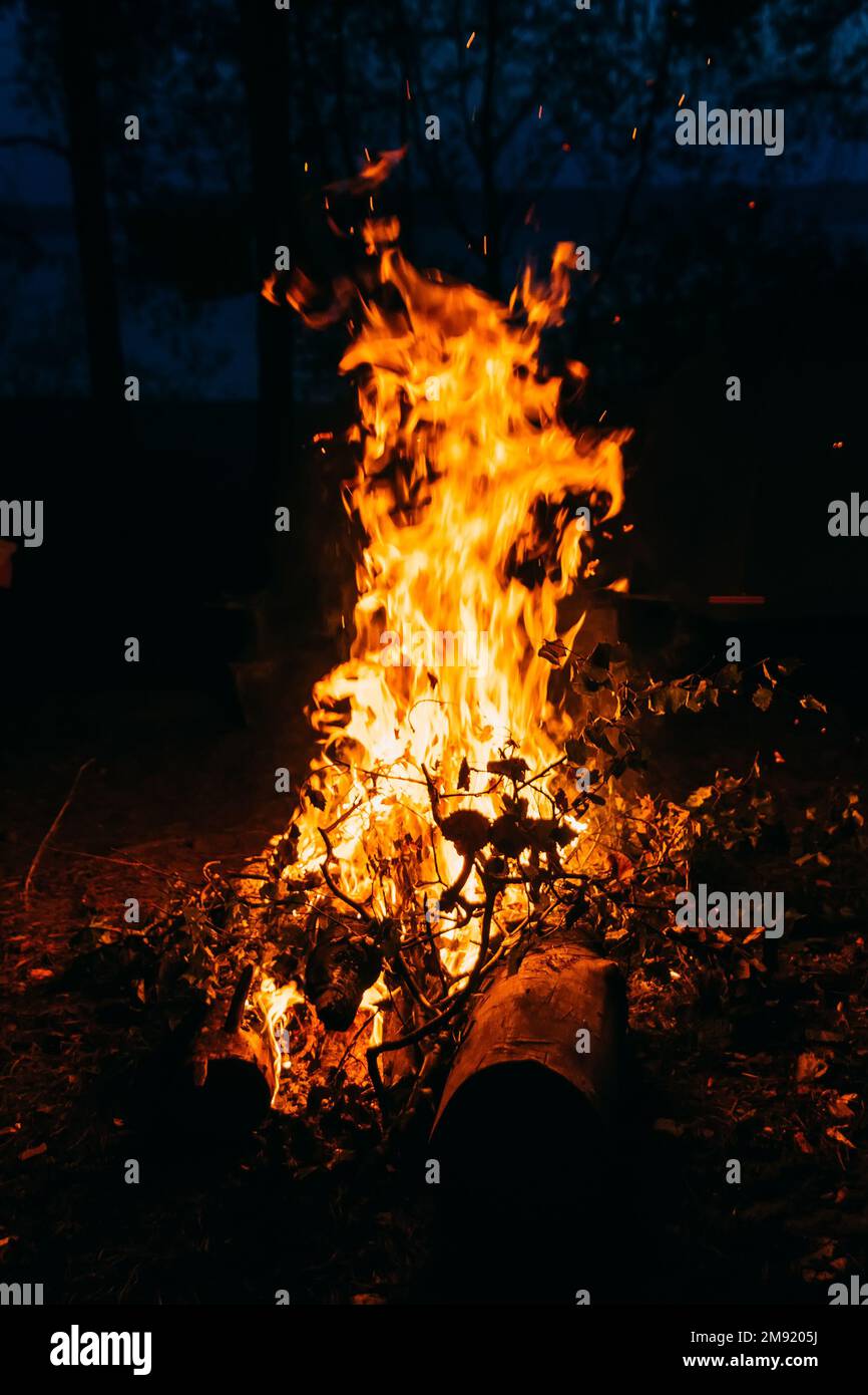 red orange fire flame travel of firewood night Stock Photo - Alamy
