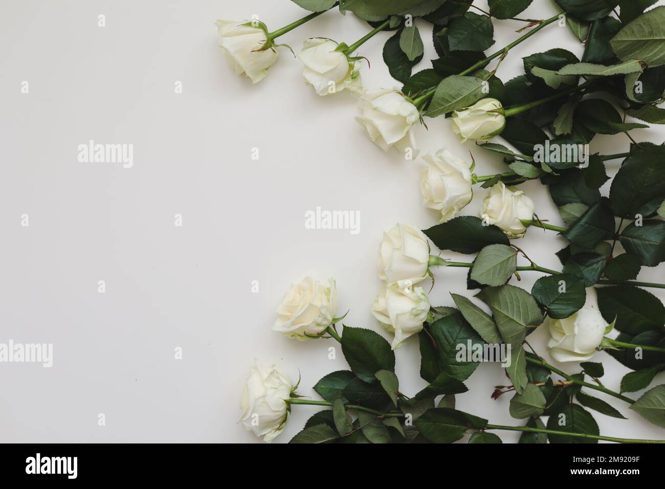 Elegant floral frame made of white roses and place for text on white ...