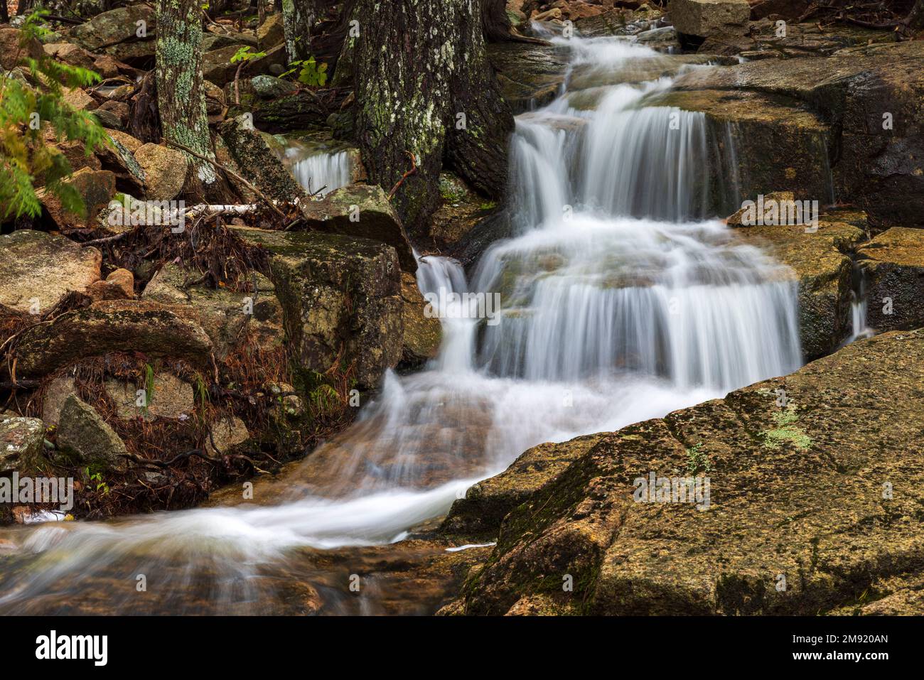 Waterfall on the slope of Cadillac Mountain in Acadia National Park ...