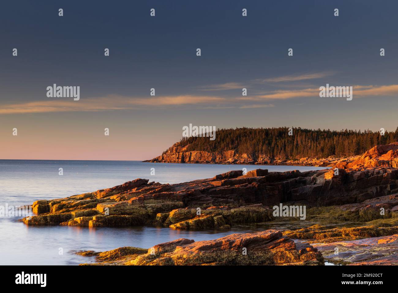 Otter Point at sunrise in Acadia National Park, Maine Stock Photo - Alamy