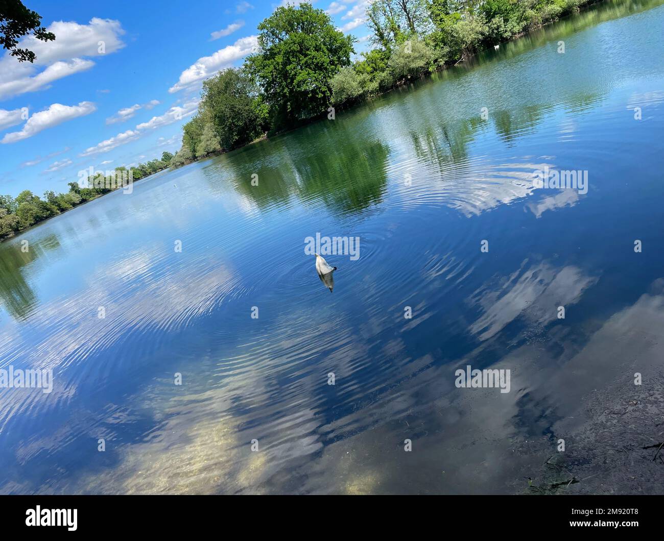 Oblique landscape hi-res stock photography and images - Alamy