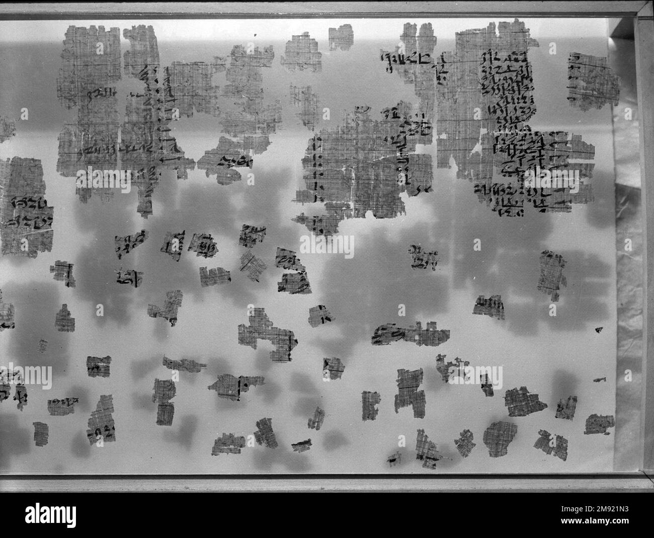 Portion of a Historical Text Portion of a Historical Text, ca. 1809 ...