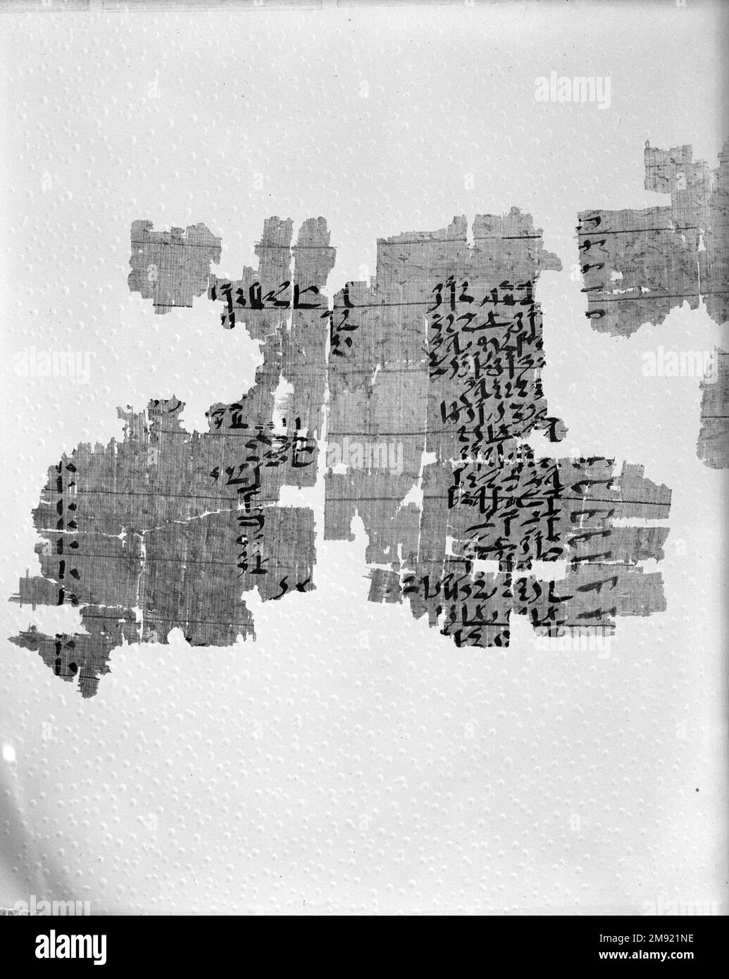 Portion of a Historical Text Portion of a Historical Text, ca. 1809 ...