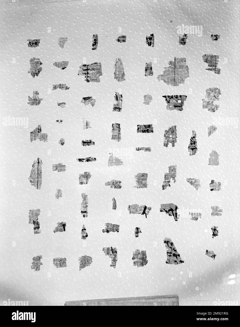 Portion of a Historical Text Portion of a Historical Text, ca. 1809 ...