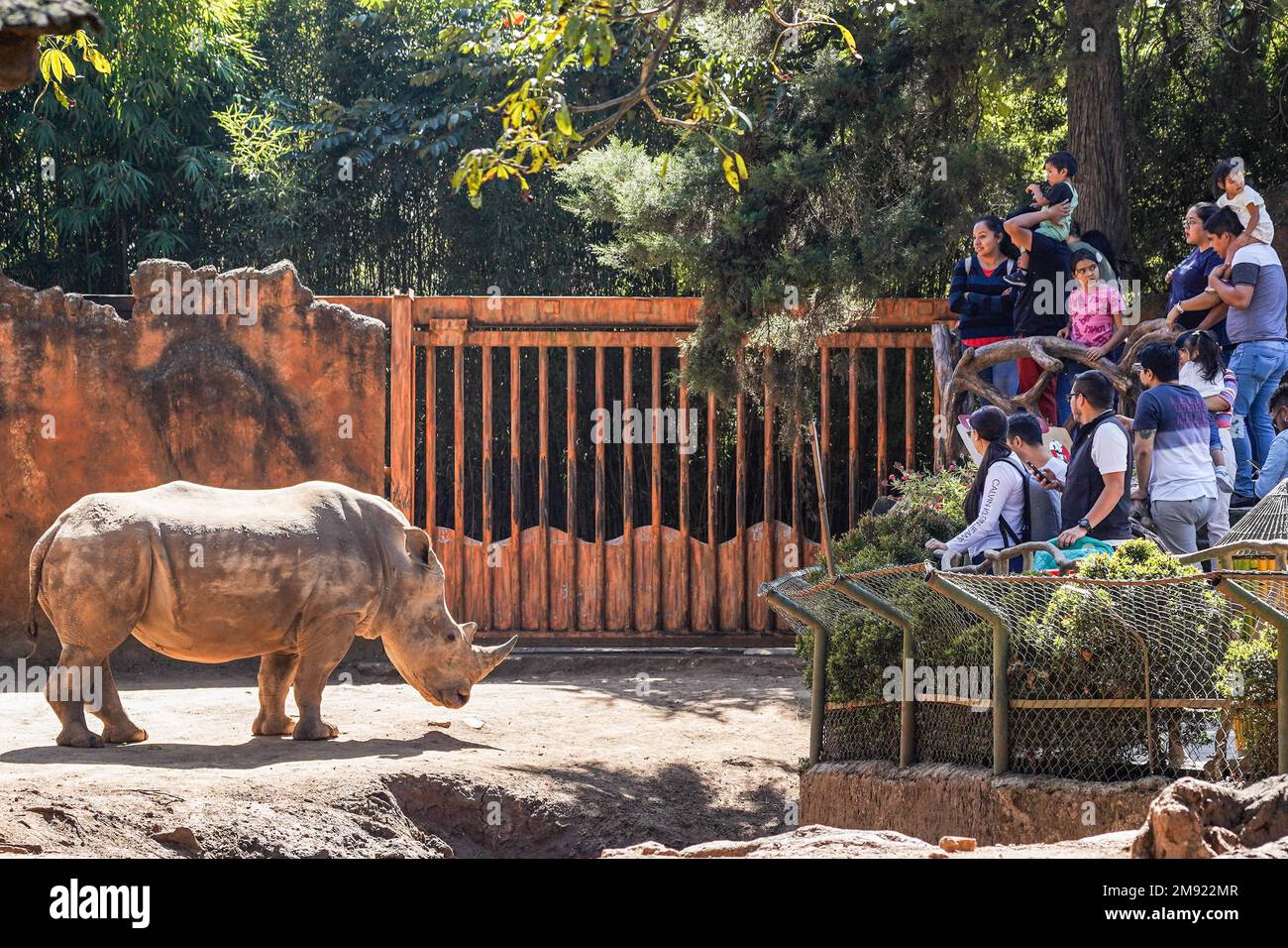 Aurora zoo guatemala hi-res stock photography and images - Alamy