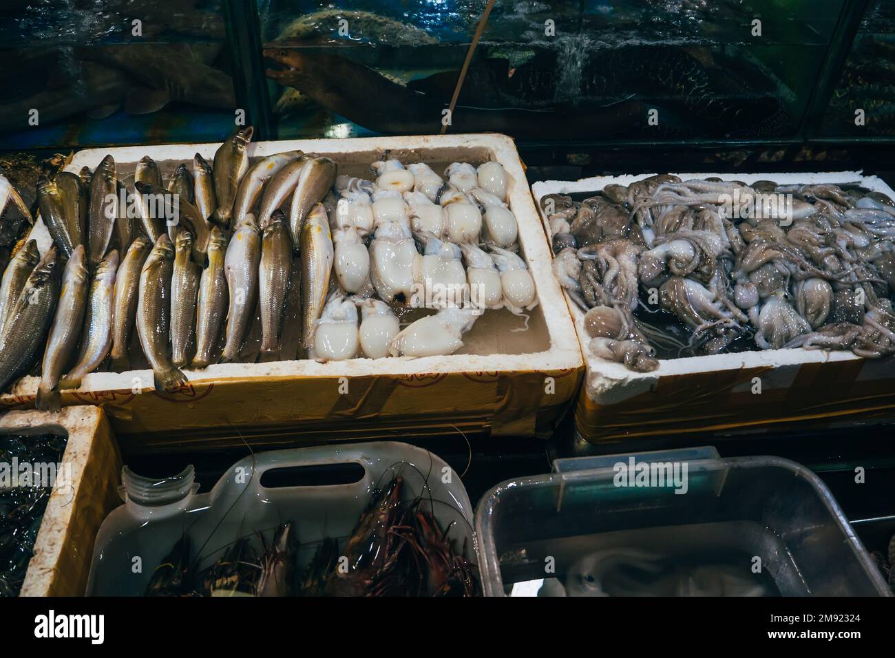 fresh seafood from fish, squid, eels on the counter shop in Asia for a ...