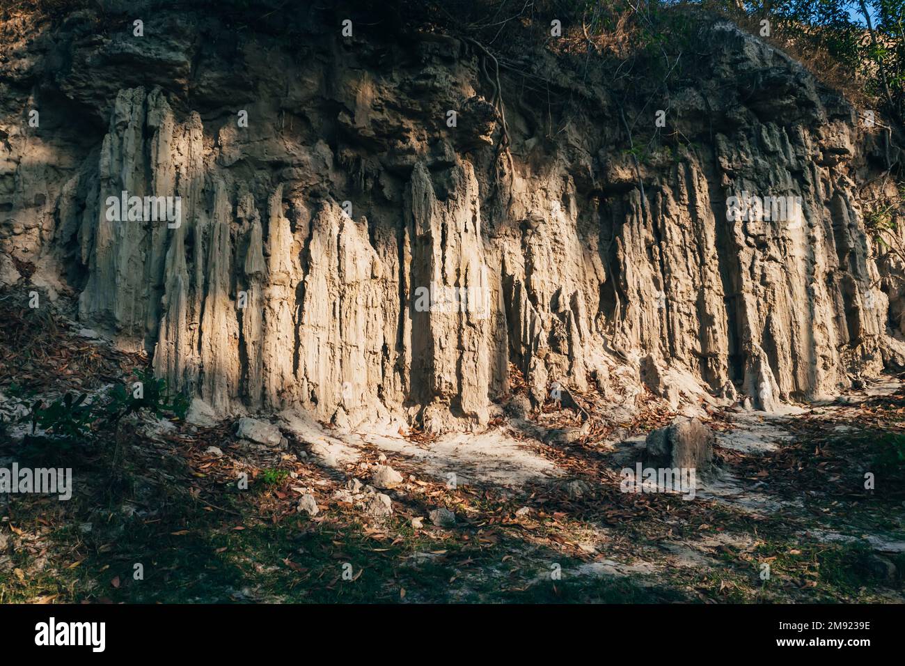 Fairy Stream in Mui Ne in Vietnam. Landmark, red sand mountain canyon ...