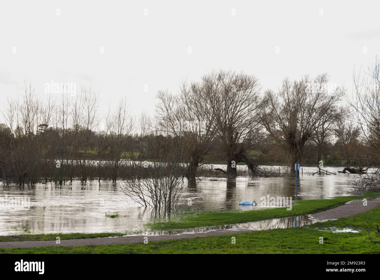 Flood water in a public park after the river banks burst from heavy ...