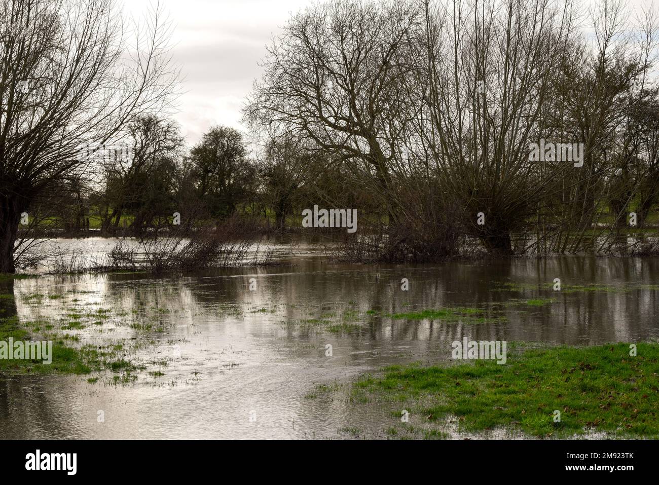 Flood water in a public park after the river banks burst from heavy ...