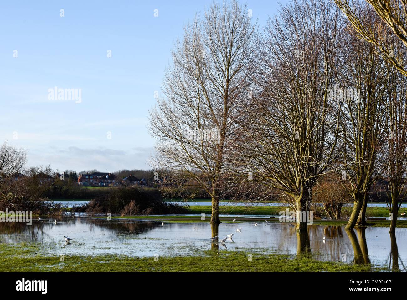 Flood water in a public park after the river banks burst from heavy ...