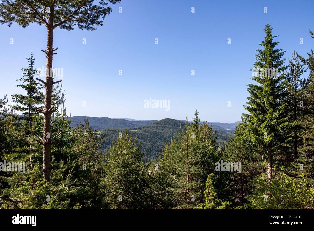Rhodopes mountan hi-res stock photography and images - Alamy