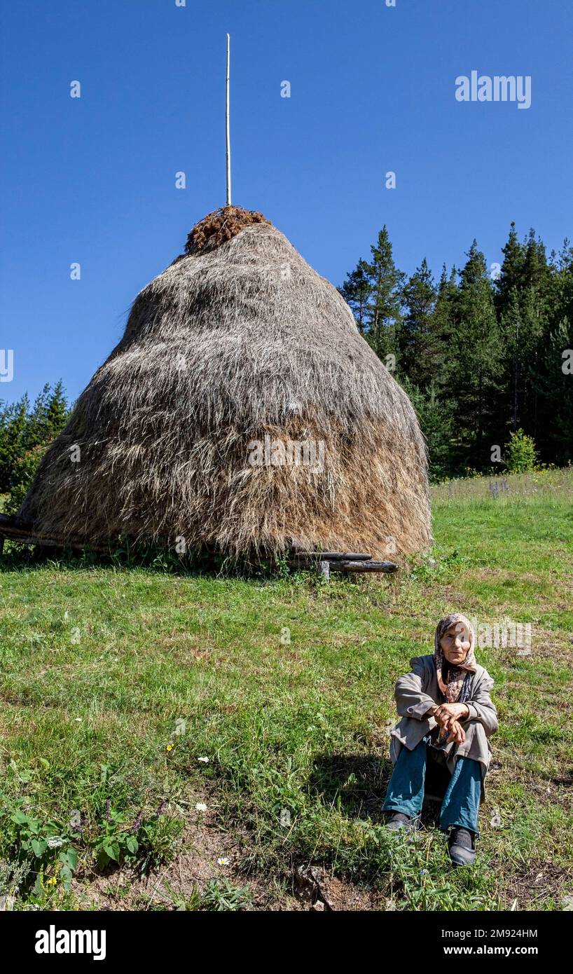А hay stack, old woman sitting in front, countryside landscape Stock ...