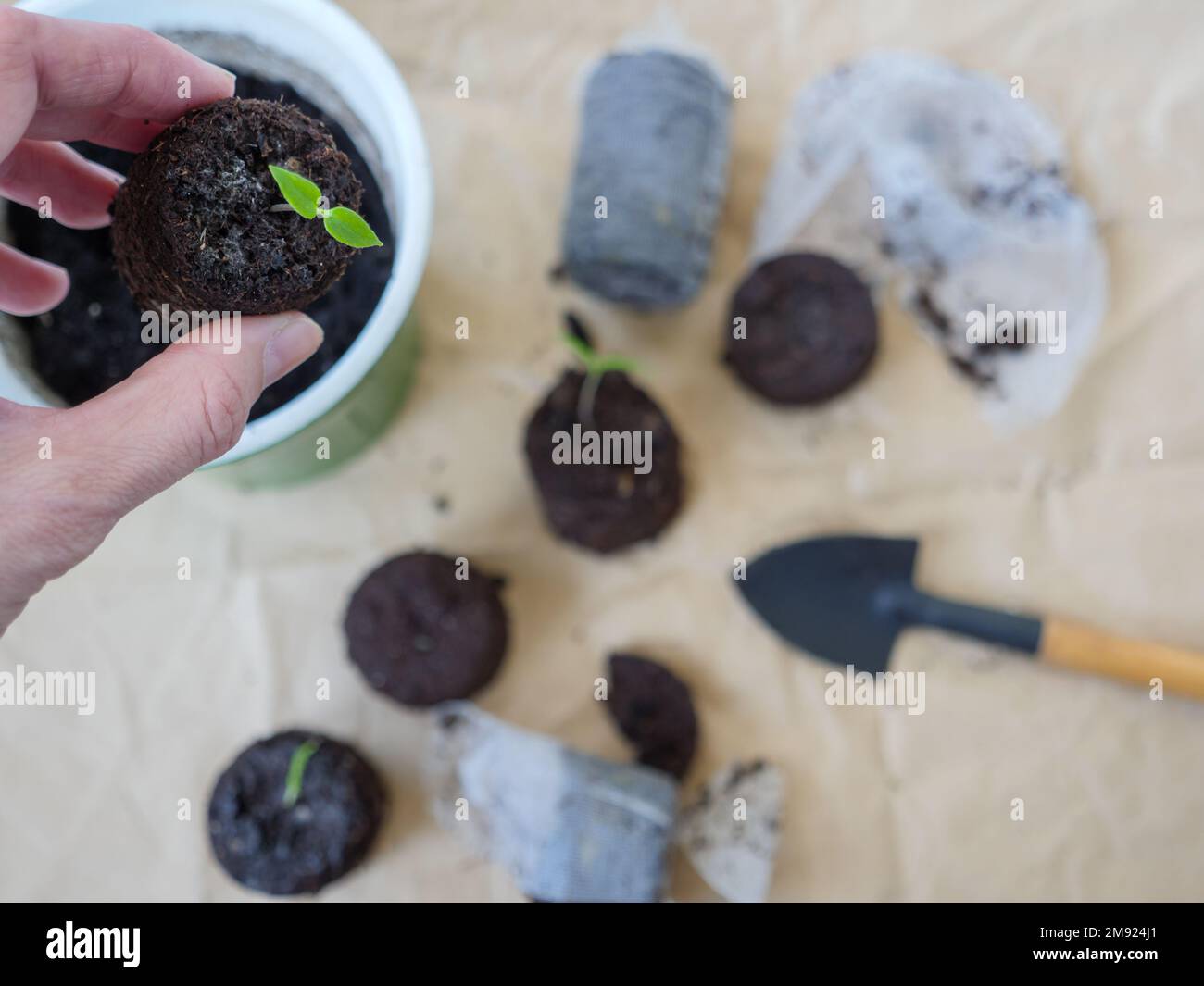 Hand tablets pot hi-res stock photography and images - Alamy